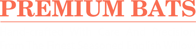 RNS Larsons - Premium Cricket Bats and Gears Manufacturer