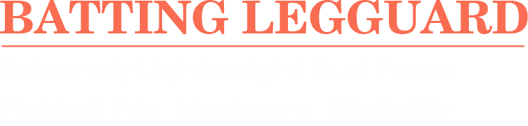 RNS Larsons - Premium Cricket Bats and Gears Manufacturer