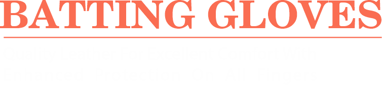 RNS Larsons - Premium Cricket Bats and Gears Manufacturer