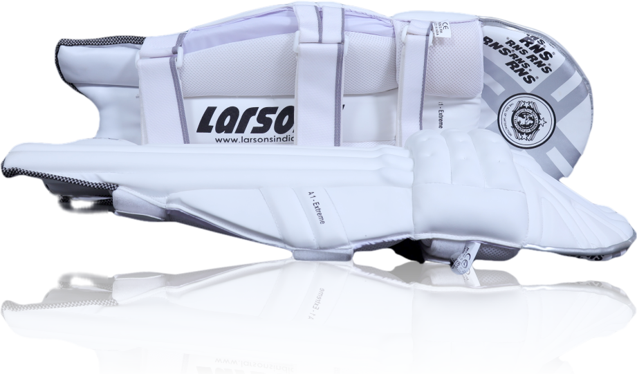 RNS Larsons - Premium Cricket Bats and Gears Manufacturer